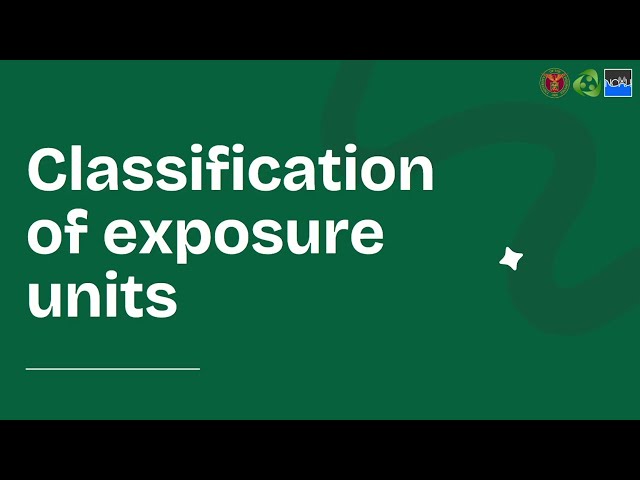 Understanding the Classification of Exposure Units by DHSUD | Magica