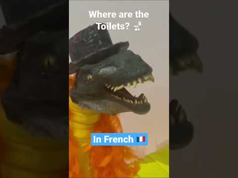 How to say “Where are the Toilets” 🚽 🇫🇷 in French = Où sont les toilettes?