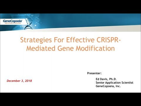 Strategies For Effective CRISPR Mediated Gene Modification