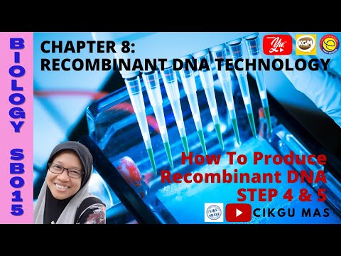 Recombinant DNA (Step 4 & 5)