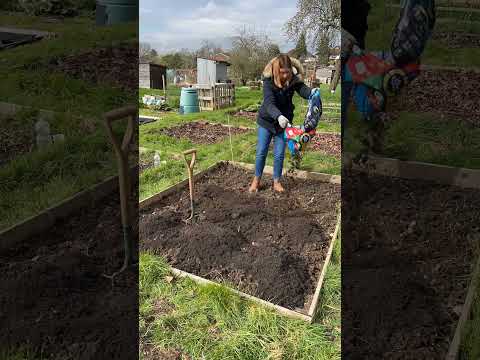 What is Mulching? #garden #PlantandPause