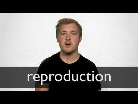 REPRODUCTION Synonyms | Collins English Thesaurus