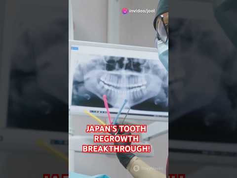 Japan's Tooth Regrowth Breakthrough!