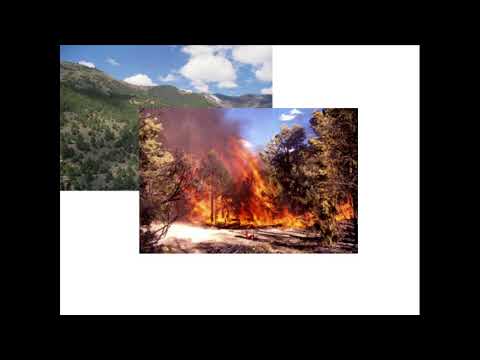 Understanding Resistance and Resilience in the Great Basin