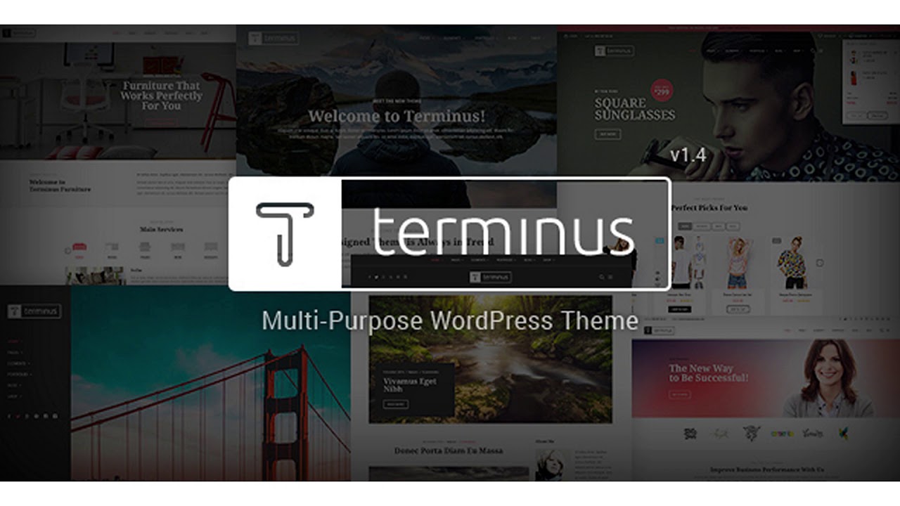 Terminus - Responsive Multi-Purpose WordPress Theme | Themeforest Website Templates and Themes
