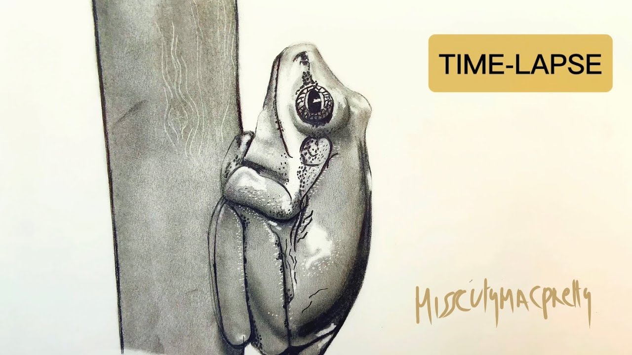I Tried the most realistic Frog Drawing TIme-Lapse