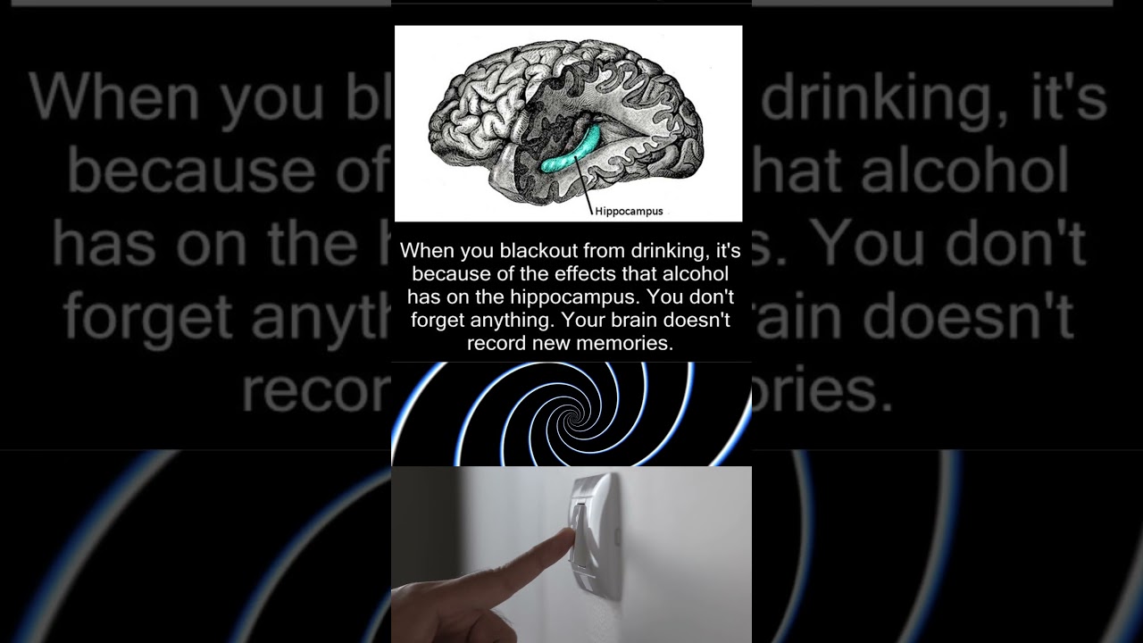Your Brain Hit STOP RECORDING