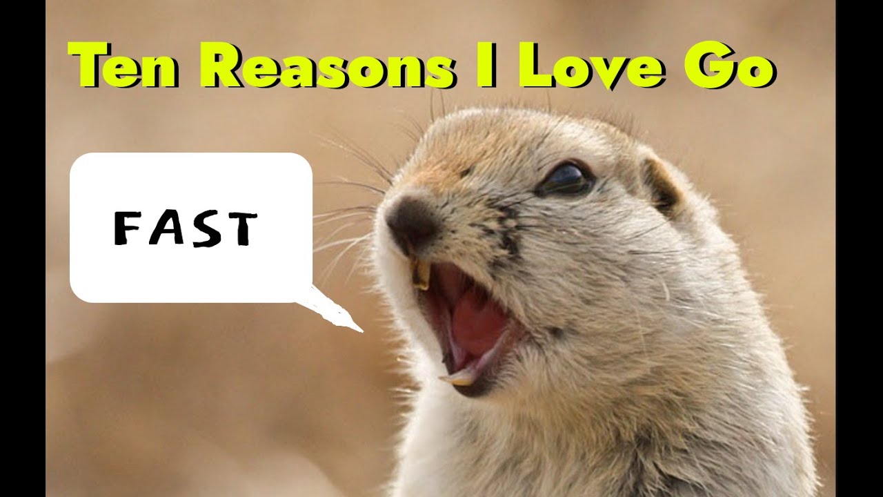 10 Reasons I Love Go (as a JavaScript/PHP dev)