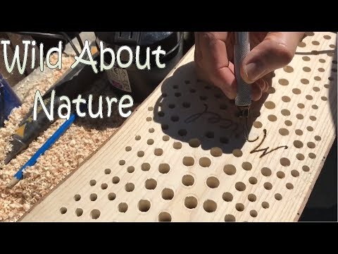 DIY Bee / Insect / Bug Hotel / Habitat Build - Off To The Netherlands! - 4K