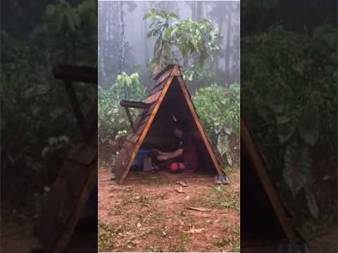 Make a shelter under the rain in the rainforest #bushcraft #survivalskills #camping #camping #build