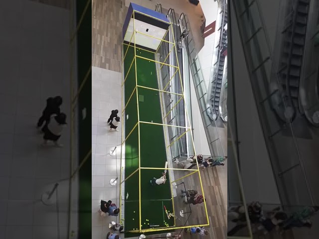 Cricket Bowling Machine - Cricket Bowling Simulator Manufacturer from ...