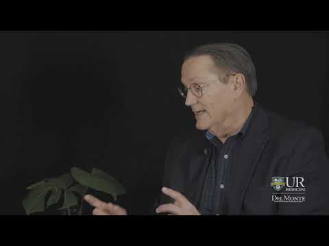 NeURoscience Perspectives: Steven Petersen, PhD