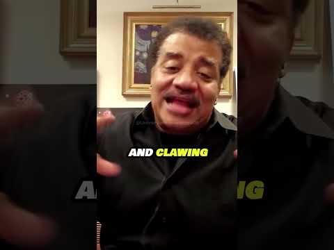 How We DOMESTICATED Cats and Dogs 🤯 w/ Neil deGrasse Tyson