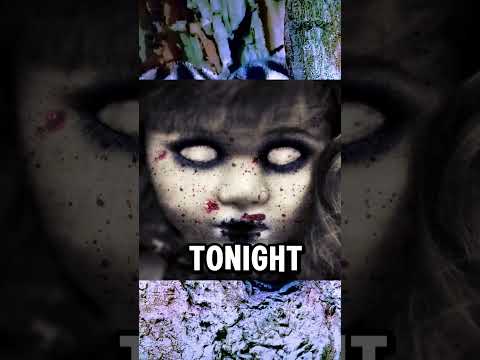 Animals that only come out at night. Pt2