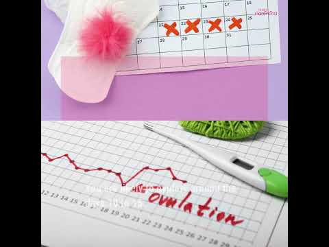 What Is Ovulation and When Does It Happen?
