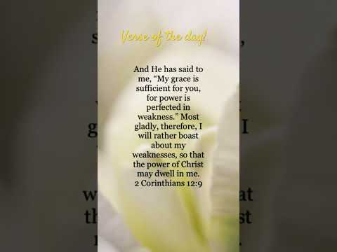 Verse of the day! ๐ผ