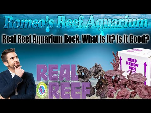 Real Reef Aquarium Rock..... Is It Good Aquarium Rock? Honest Review