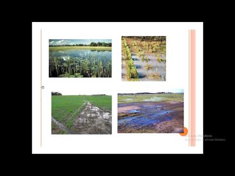 what is water logging and how to prevent it