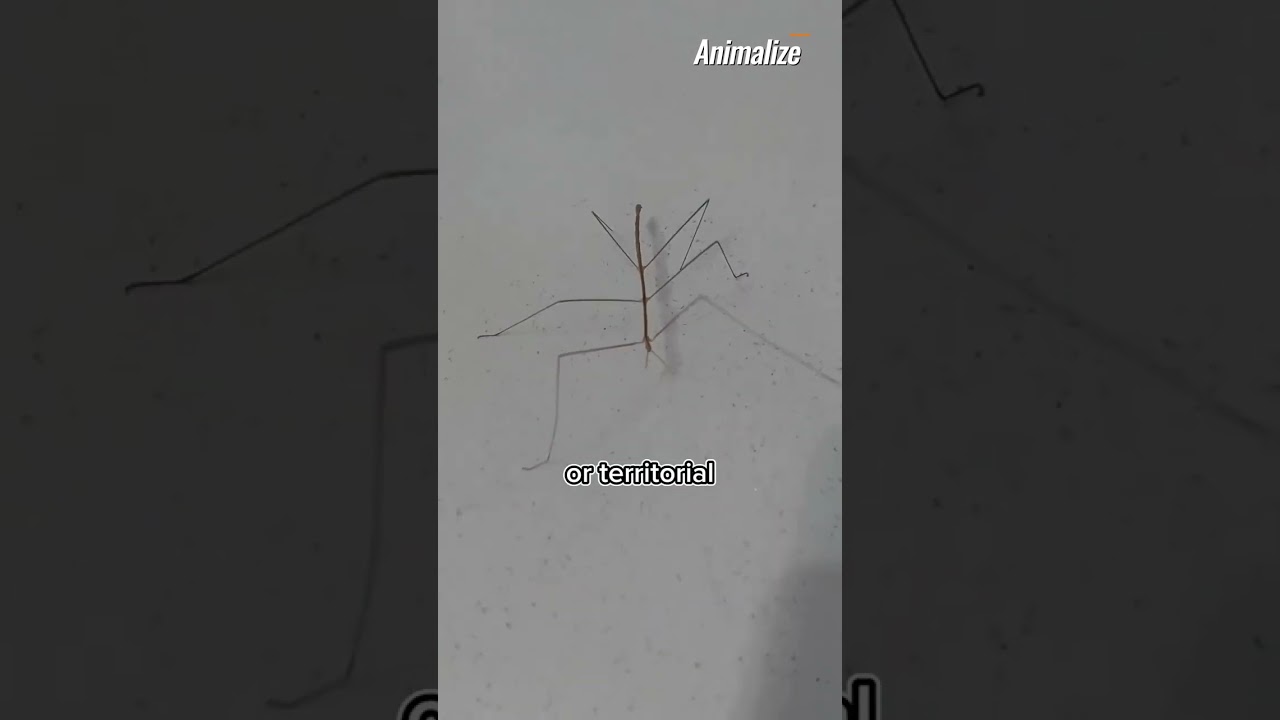 learn some facts in the secret world of 