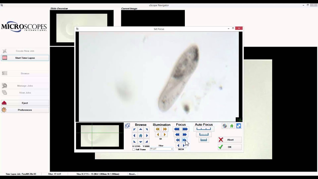 Creating Time Lapse Captures with the uScope Digital Microscope