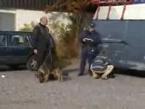 vtm-9-11-2003-19u.avi