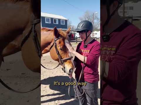 Try @ TXST: Equestrian Team