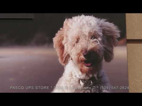 THE UPS STORE