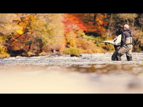 Learn to Fly-Fish on the Umpqua River