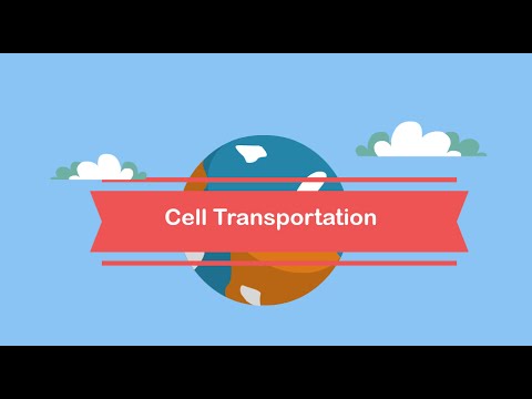 Cell Transportation-Passive and Active Transport
