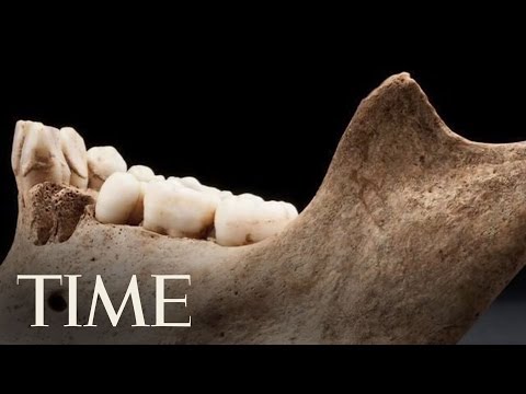 Cannibalism At Jamestown: Listening To The Bones | TIME