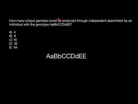 How gametes are formed