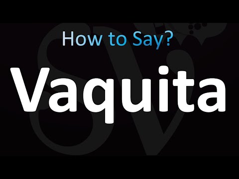 How to Pronounce Vaquita (correctly!)