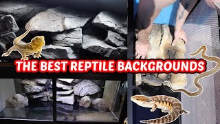 PET ROOM TOUR! UPDATED! 30 ANIMALS IN 1 ROOM! | Tyler Rugge - Custom Cages