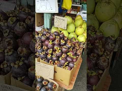 Bankerohan Public Market March 31 2025 Davao City