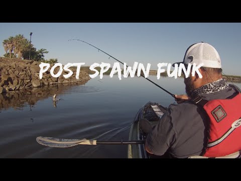 Post Spawn Funk