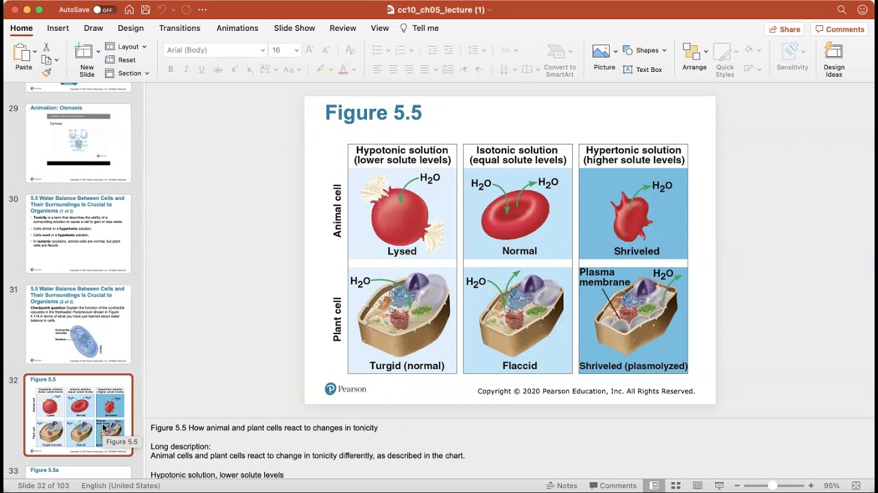 Ch. 5 (Workings of the Cell)