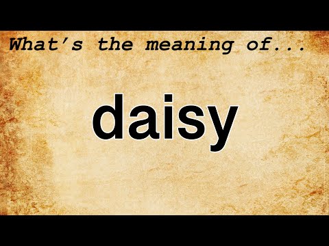 Daisy Meaning : Definition of Daisy