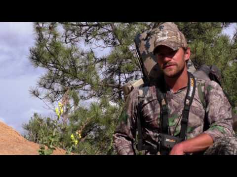 Montana's Noxious Weeds: Dalmation Toadflax and Death Camas