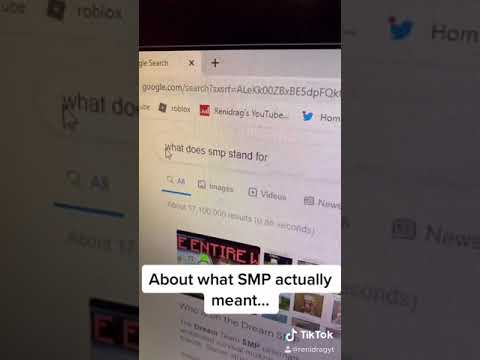 What does dream SMP actually stand for?