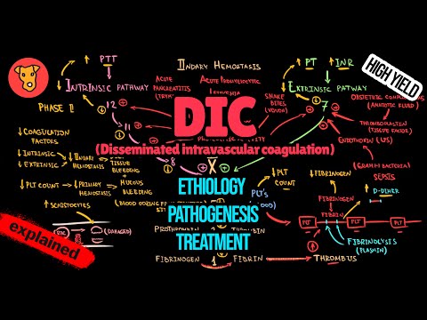DISSEMINATED INTRAVASCULAR COAGULATION (DIC) Pathogenesis Mechanism of clinical symptoms Treatment