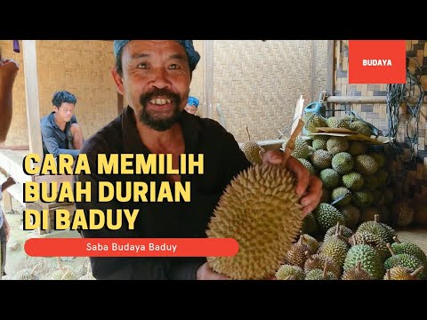 Desa Wisata Saba Budaya Baduy
