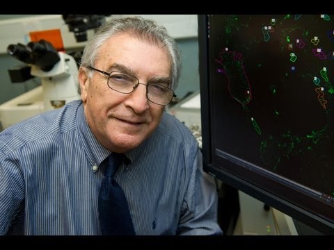 CardioVascular Research