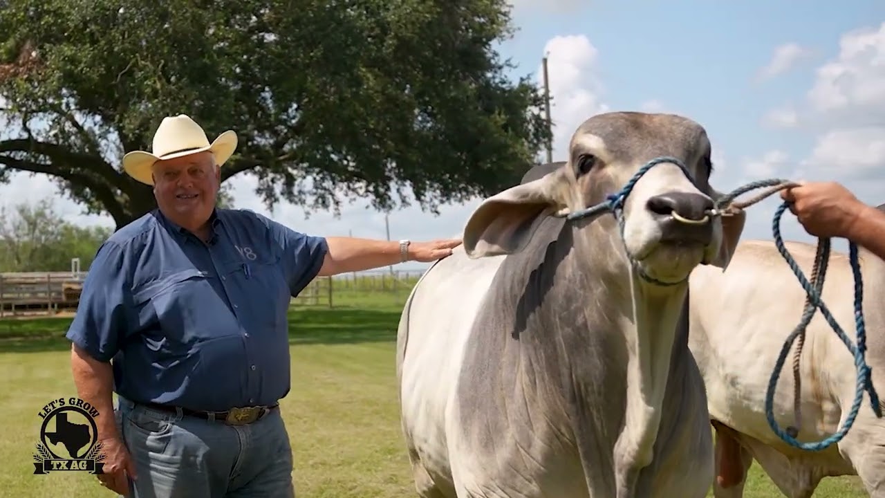 Let's Grow Texas Ag Episode 3