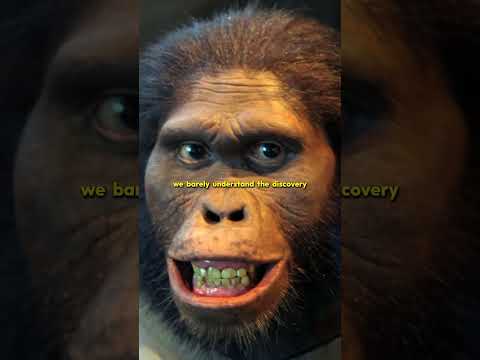 Scientists Just Found a New Human Species - Everything We Know About Evolution is WRONG! 🤯