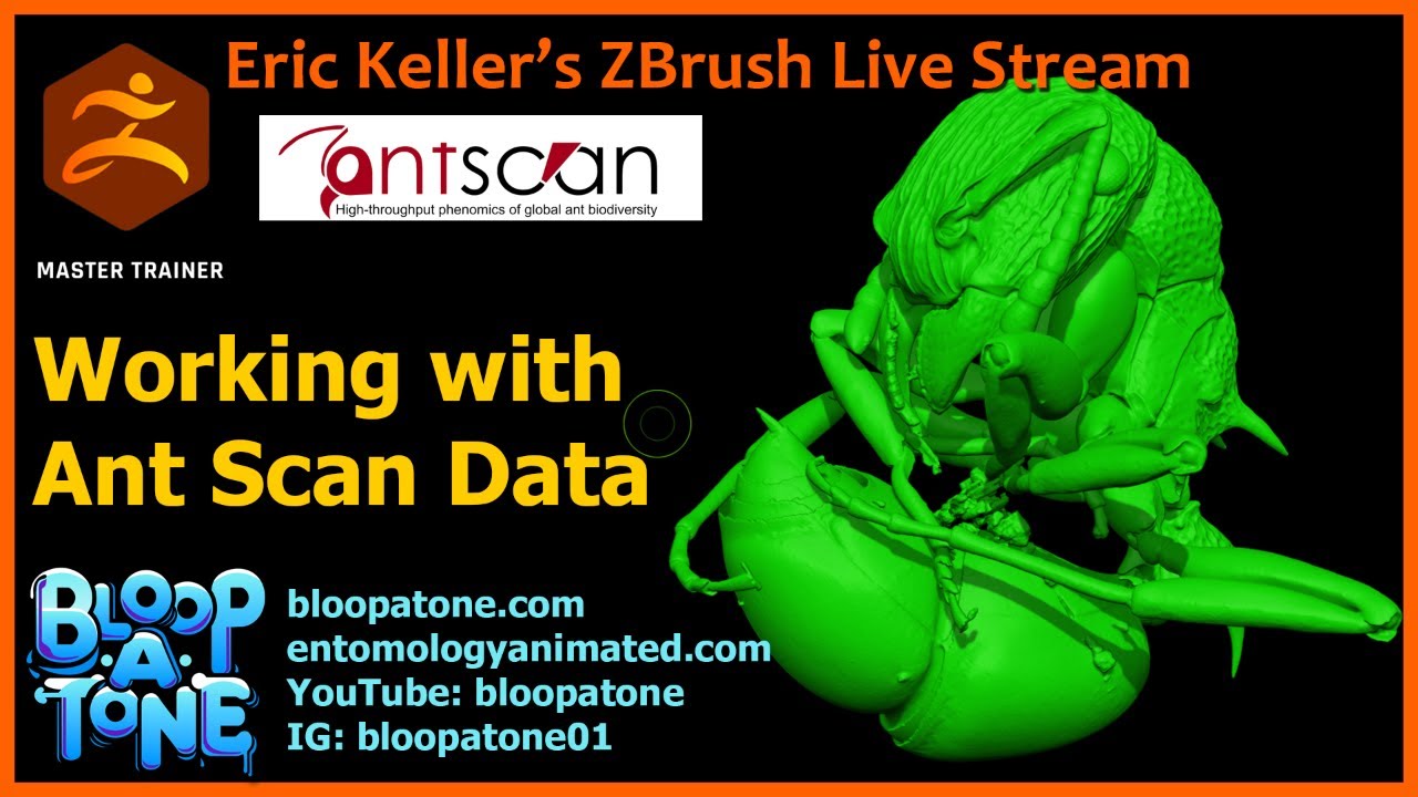 Insect Inspired Sculpting with Eric Keller, AnScan Part 8t