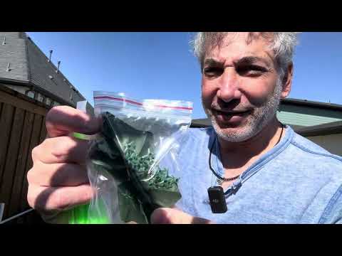 Artificial Ivy Privacy Fence Review & Unboxing