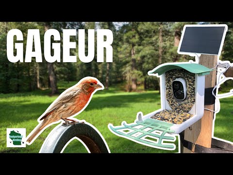 Feeding Birds the "Smart" Way: GAGEUR Smart Bird Feeder Review