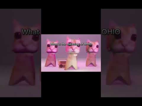 What is the meaning of OHIO