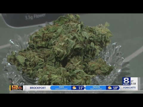 What legal marijuana looks like in Massachusetts, and what it could mean for New York