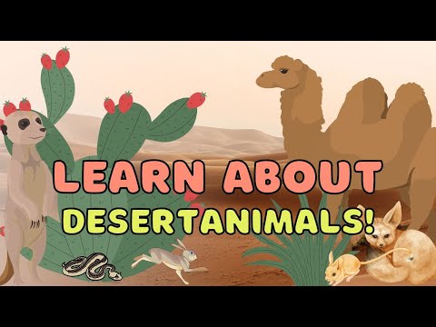 Discover desert animals! Fun flashcards and videos help kids learn about life in the desert